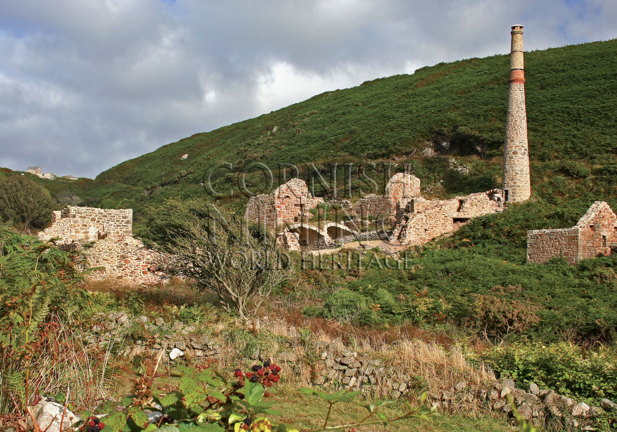 Image Gallery - Cornish Mining World Heritage Site